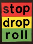 STOP, DROP and ROLL! - Kidologist.com